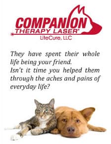 Companion Laser Therapy - Oconee Veterinary Hospital
